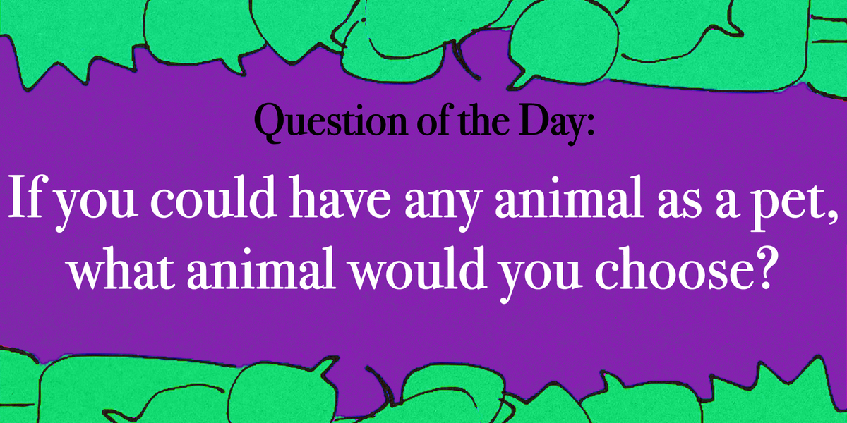 If you could have any animal as a pet, what animal would you choose ...